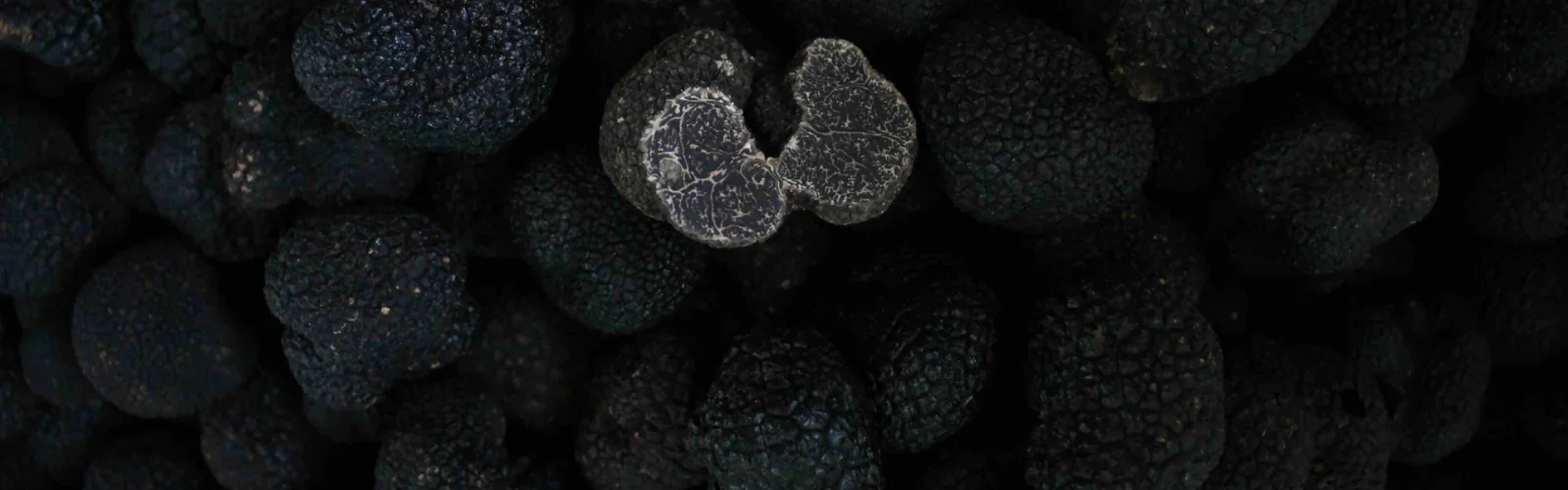 Fresh Truffles USA | Big Selection & Next-Day Delivery | Truffle Cart