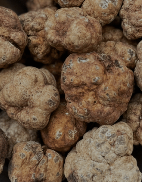 Fresh Truffles USA | Big Selection & Next-Day Delivery | Truffle Cart